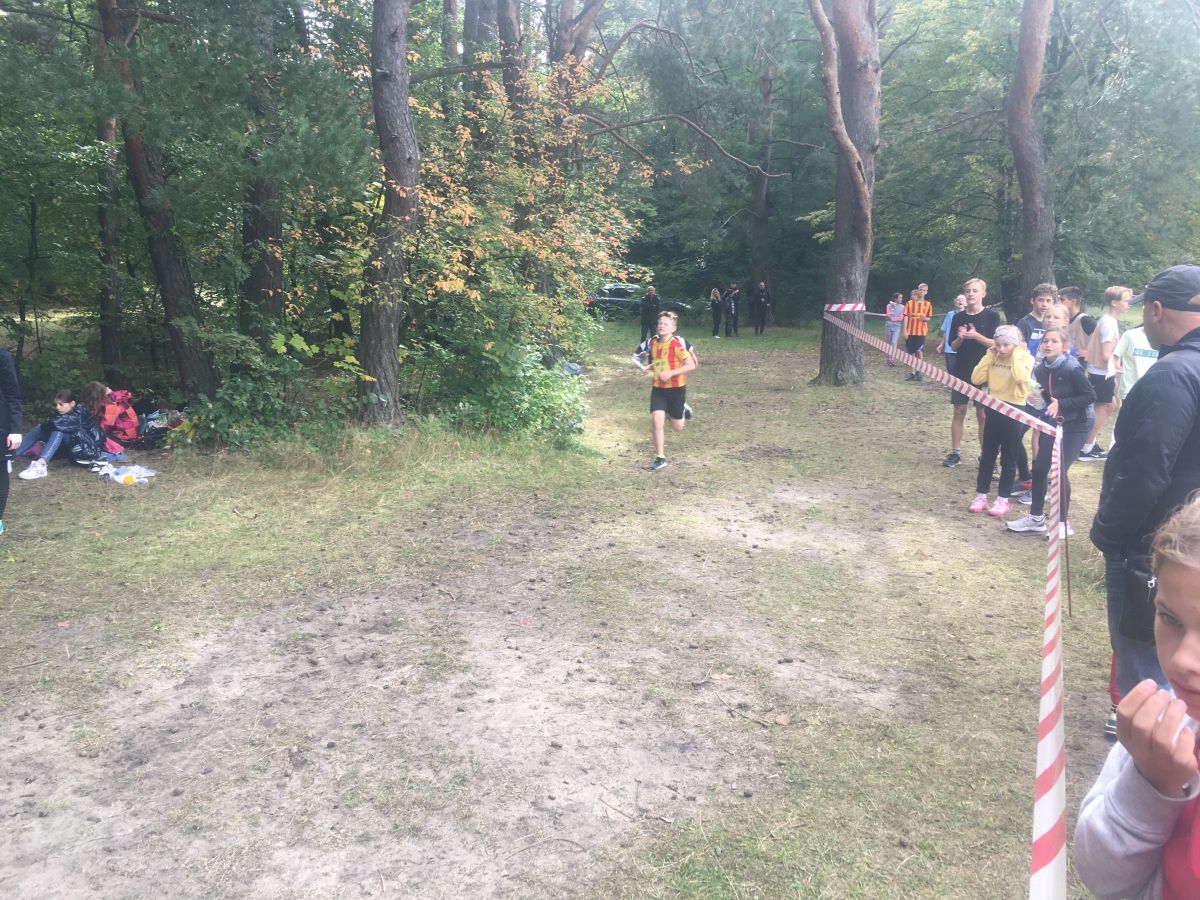 Mistrzostwa Kielc - Sztafetowe Biegi Przełajowe Szkół Podstawowych ...